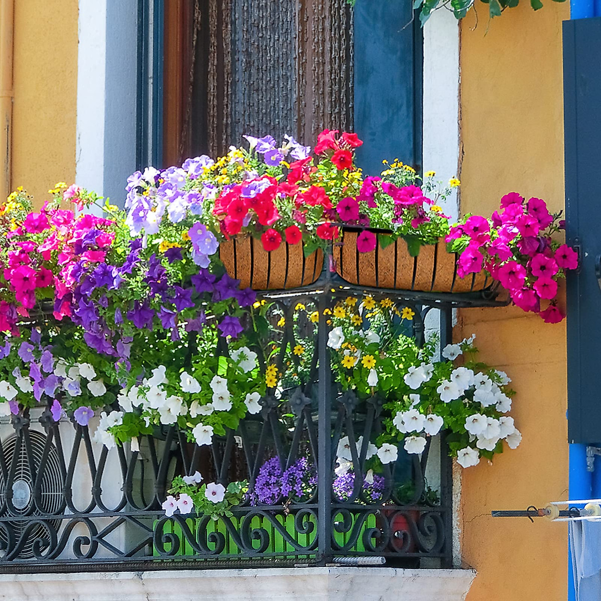ANPHSIN 3 Pack Coco Liners for Window Planter Box - 24 Inch 100% Natural Coconut Coir Fiber Liner Replacement for Deck Flower Box, Garden Railing Fence Trough, Wall Planter Basket, Vegetables Pot