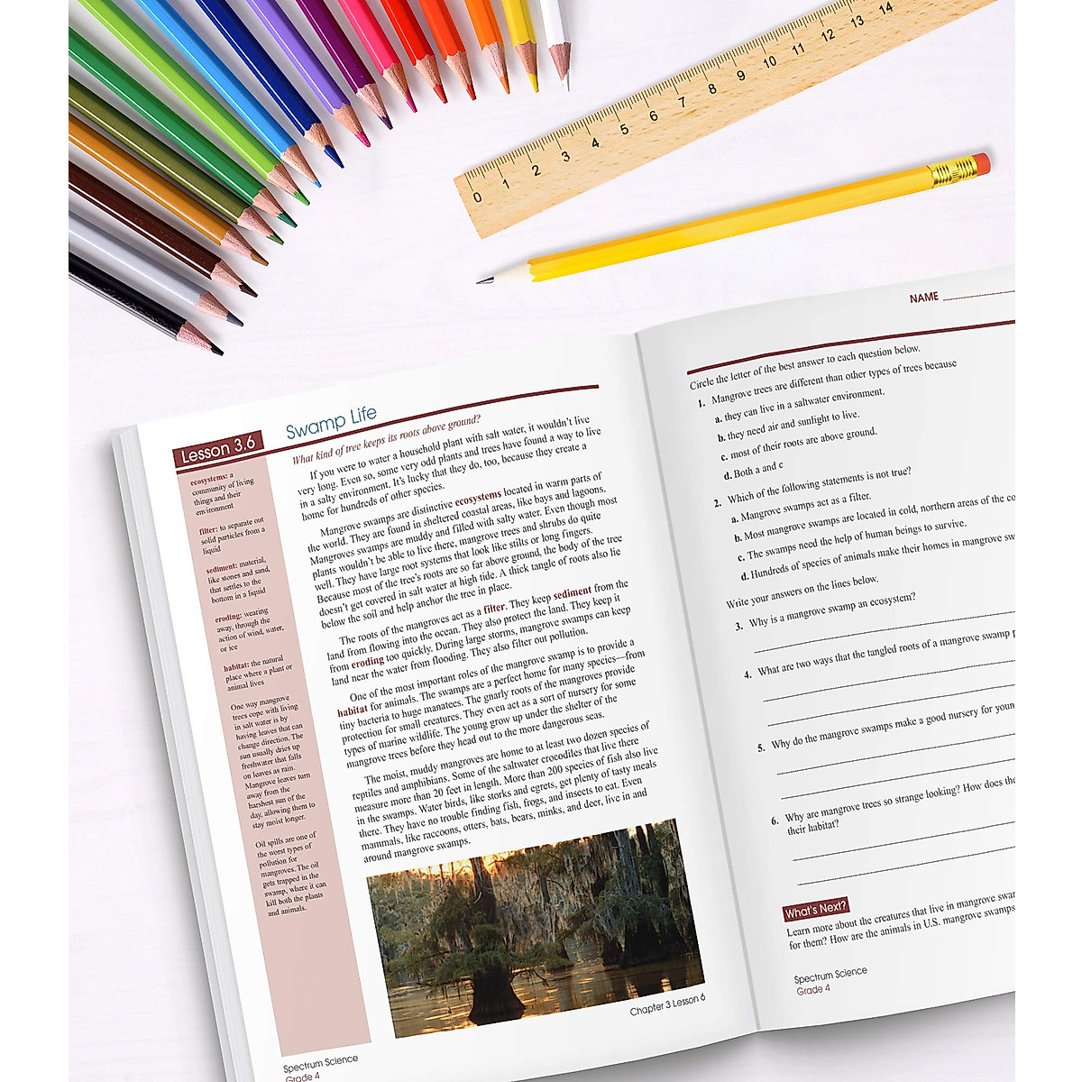 Spectrum 4th Grade Science Workbooks, Ages 9 to 10, 4th Grade Science, Physical, Space, Earth, and Life Science, the History and Nature of Science With Research Activities - 144 Pages