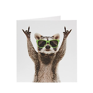 UK Greetings Birthday Card For Him/Male/Friend With Envelope - Raccoon Design