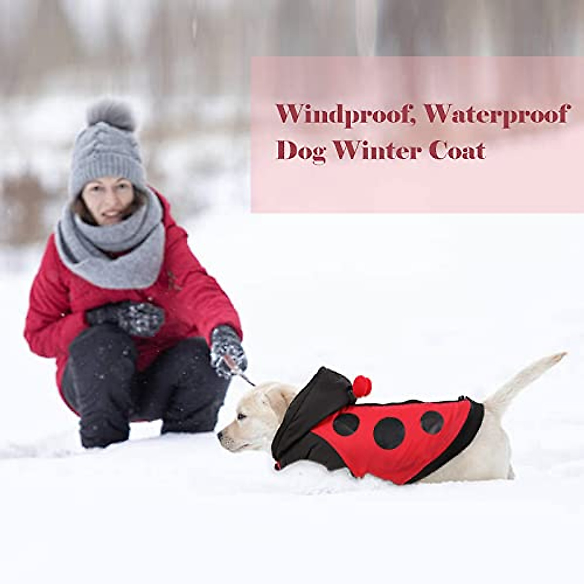 ROZKITCH Dog Halloween Costume, Ladybird Coat for Small Medium Dog Pet Cosplay Party Decoration Jacket for Cat, Cold Weather Coat Hoodie Dress-Up Funny Cool Ugly Black with Red Pattern