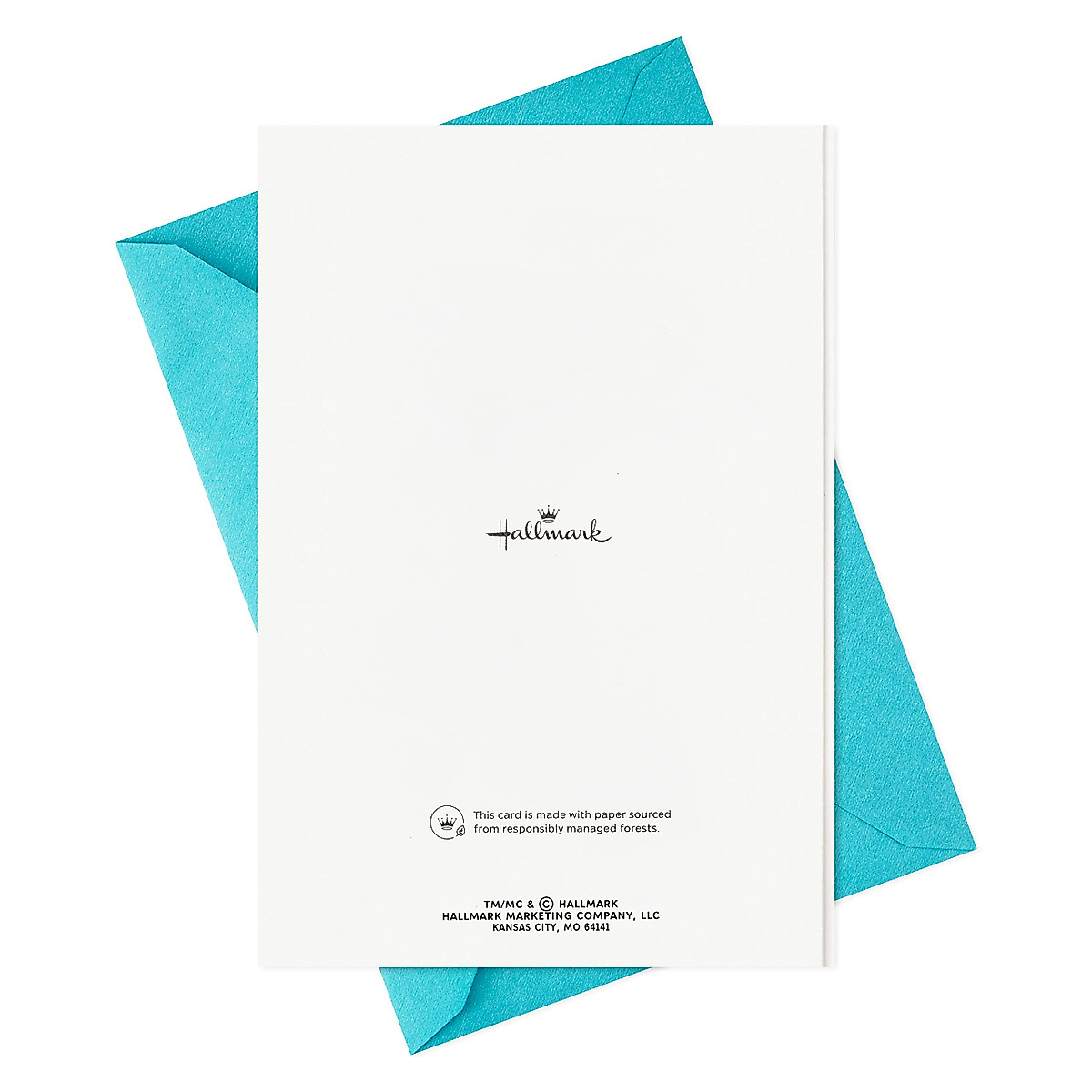 Hallmark 13" Large Birthday Gift Bag with Birthday Card and Tissue Paper (Dog, Did Someone Mention Cake?) for Kids, Parents, Coworkers, Friends