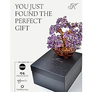 KALIFANO Large Amethyst (1,251 Gemstone Count) Chakra Crystal Tree with Healing Properties - Bonsai Feng Shui Money Tree for Positive Energy, Luck and Wealth