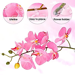Reptile Plants, Amphibian Hanging Plants, Reptile Terrarium Plants Gecko Tank Accessories with Suction Cups Plants Terrarium Decor for Hermit Crab Lizards Geckos Snake Reptile, Pink (AMFB005)