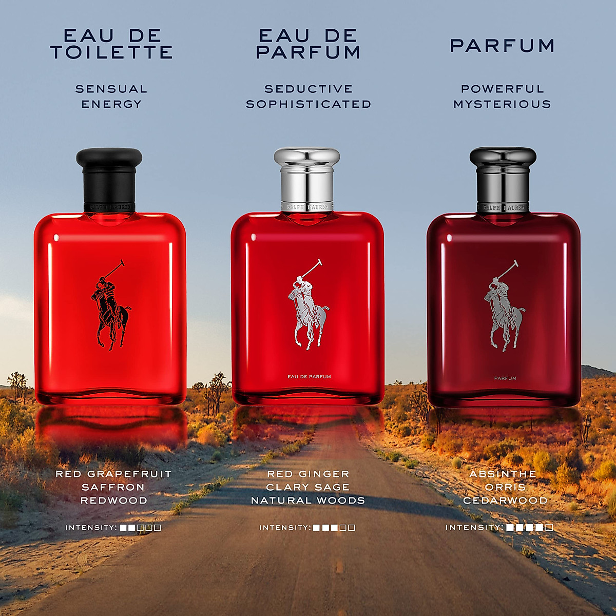 RALPH LAUREN FRAGRANCES Polo Red - Parfum - Men's Cologne - Ambery & Woody - With Absinthe, Cedarwood, and Musk - Intense Fragrance - 2.5 Fl Oz