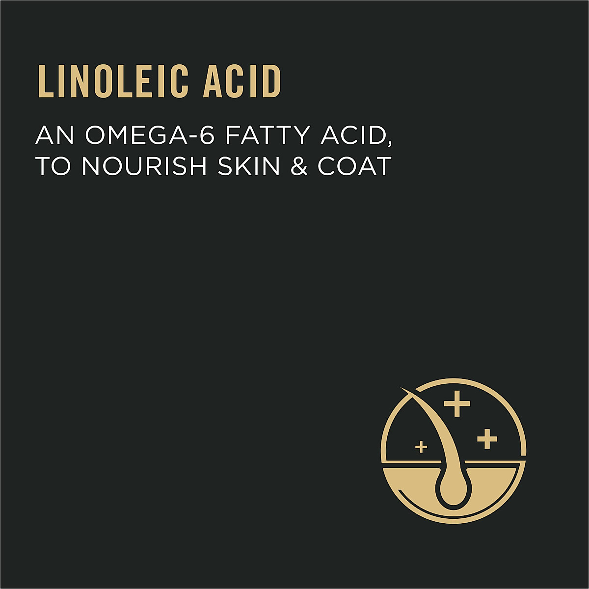 Purina Pro Plan Urinary Tract Cat Food, Chicken and Rice Formula - 16 lb. Bag