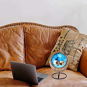 TEHAUX Natural Coconut Shell Bird Nest House Bed with Warm Pad for Parrot Parakeet Hamster Rat Mice Chinchilla Cage Toy Nesting Box