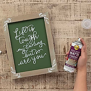 Aleene's Spray Finish 6oz Acrylic Sealer, 6 Ounce (Pack of 1), Clear-Matte