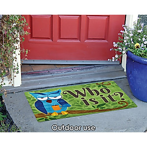 Toland Home Garden 800454 Punny Owl Funny Door Mat 18x30 Inch Bird Outdoor Doormat for Entryway Indoor Entrance