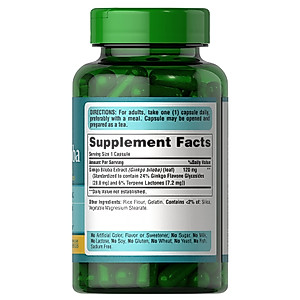 Puritan's Pride Ginkgo Biloba Standardized Extract 120 Mg, 200 Count