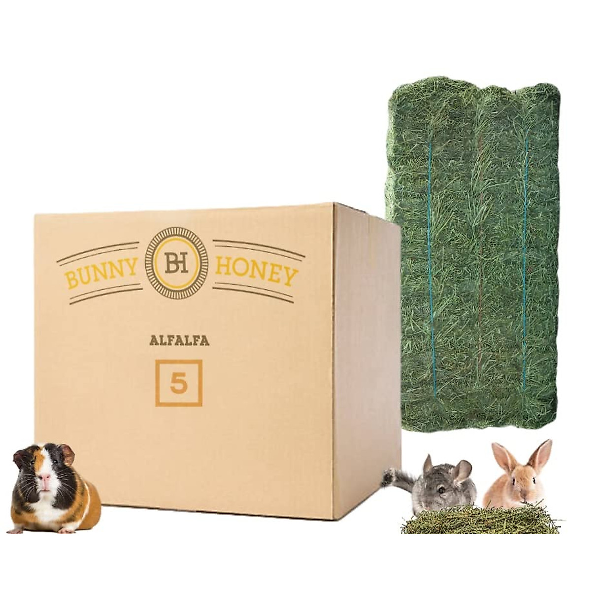 Bulk Fresh Alfalfa Hay 80oz by Bunny Honey - USDA Organic Hay for Small Select Pets, Guinea Pigs, Rabbits, Hamsters - Best Cut & Delivered Fresh - Promotes Healthy Digestive Function - 5 Pound