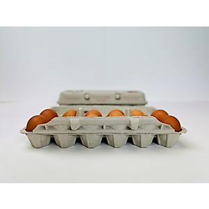 Printed Egg Cartons Red/Brown Design - 100 units