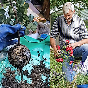 QHC KOCK Tree Root Growing Box,10 Pack Rooting Ball Grafting Tools,Sprouts Growing Kit Reusable High Pressure Tree Rooter Air Plant Layering Propagation Pot Rooting Device for Plant Cutting Seedings