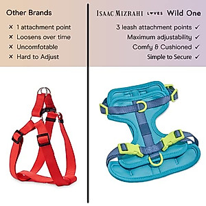 Wild One, Limited Edition, Designer Collection, Dog Harness, No-Pull Pet Harness with 3 Leash Clips, Adjustable Soft Padded Dog Vest, Comfortable, Stretchy, Medium, Blue
