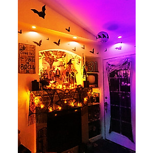 JandCase BR30 Halloween Light Bulbs, E26 Base Halloween Purple & Orange Indoor Flood Light Bulbs, Orange Purple Flood Light Bulbs for Halloween Decoration,11W(65W Equivalent),Not-Dimmable, 2 Pack