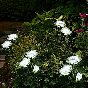 Solar Flowers Lights Outdoor Garden Decor 2 Pack, Waterproof White Rose for Grave Yard Patio Flower Bed Path Cemetery Decorotions Outside, Valentines/Mothers Day Birthday Gifts for Mom Women Grandma