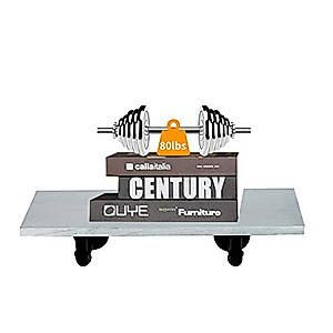 MANTE BLONG QTSARTISAN 24-Inch Industrial Pipe Floating Shelves Wall Mounted, Rustic Wood Wall Shelves Set of 4 for Bedroom, Bathroom, Living Room, Kitchen,Office and More (4 Shelves, White)