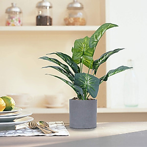 GTIDEA 16 Inch Fake Potted Plants Decor Small Artificial Greenery in Pot Faux Outdoor Plant for Home Indoor Office Table Bathroom Garden Decor