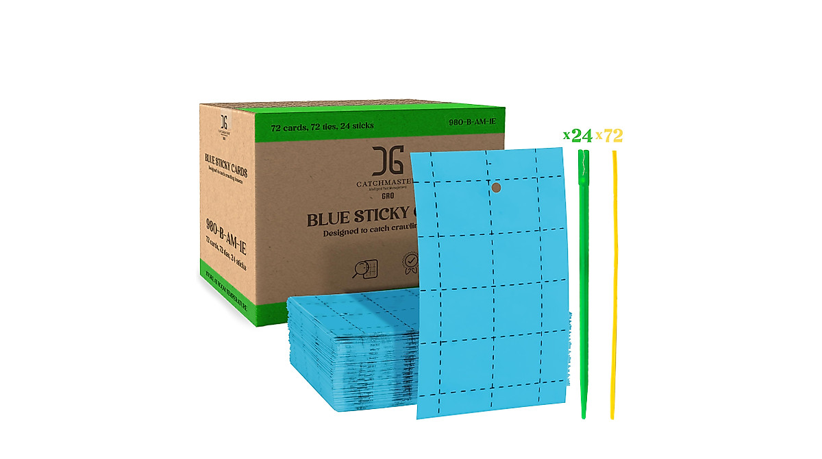 Catchmaster 72PK Blue Sticky Traps for Indoor & Outdoor