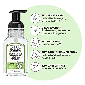 J.R. Watkins Foaming Hand Soap Pump with Dispenser, Moisturizing All Natural Hand Soap Foam, Alcohol-Free, Cruelty-Free, USA Made, Use as Kitchen or Bathroom Soap, Aloe & Green Tea, 9 fl oz, 6 Pack