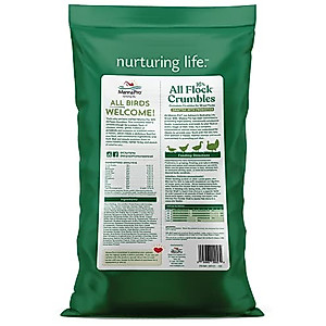 Manna Pro All Flock Crumbles | 16% Protein Level | Complete Feed for Chickens, Ducks, Geese, Turkeys and Gamebirds | Probiotics to Support Digestion | Crumbled Form for Easy Feeding | 25 Pounds