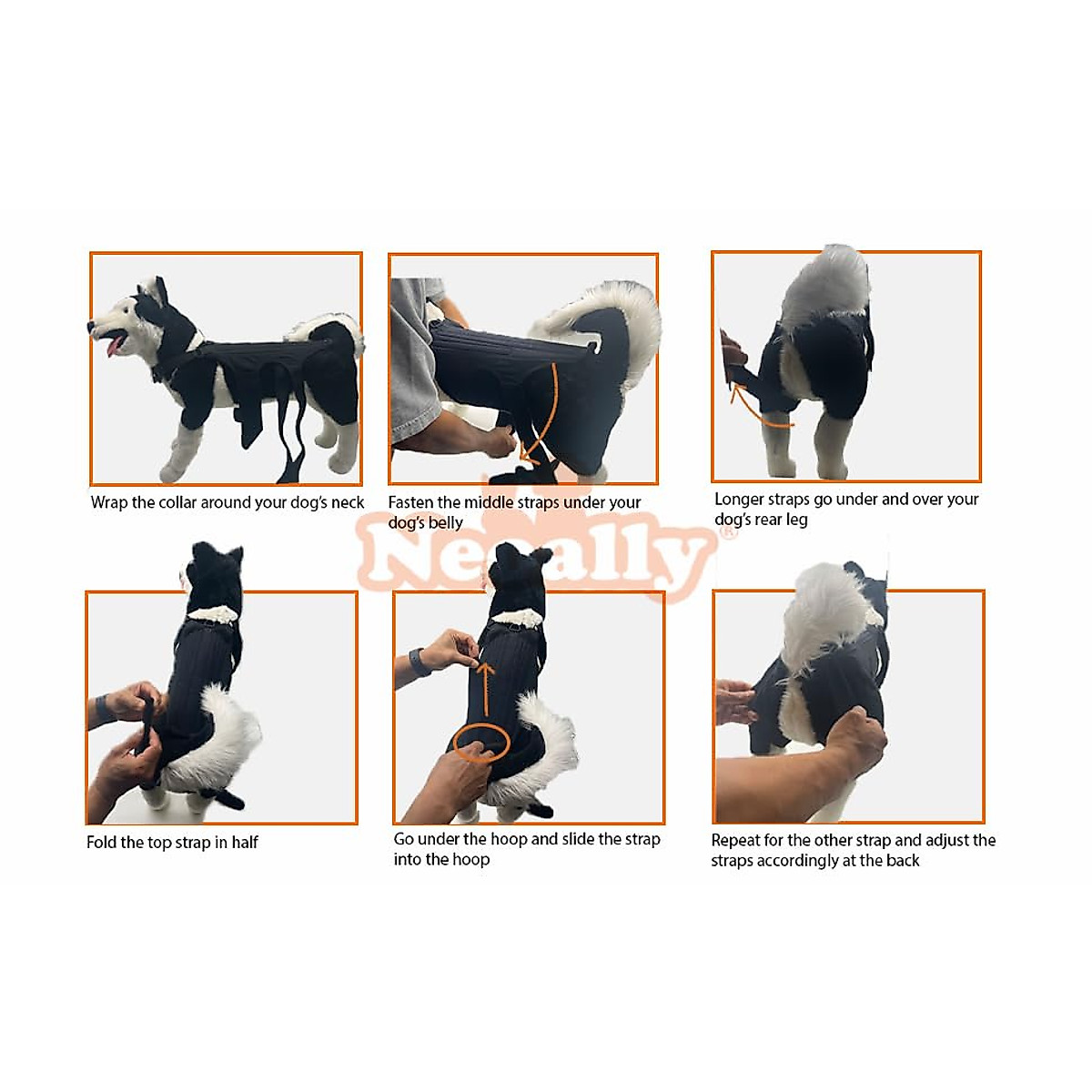 NeoAlly Dog Back Brace for Dogs Arthritis, IVDD, Spinal Surgical Recovery, and Back Disease Prevention (Extra Large)