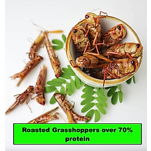 Thailand Unique Mixed Edible Insects - Grasshoppers, Mole, Field and House Crickets - High Protein Superfood (Orthoptera Mix, 15 Gram)