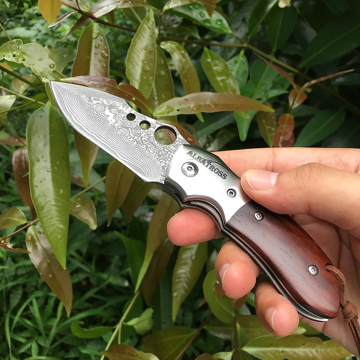 ALBATROSS HGDK007 EDC Sharp Damascus Folding Pocket Knife with Liner Lock-Cote D'Ivoire Sandalwood Handle,Gifts/Collections