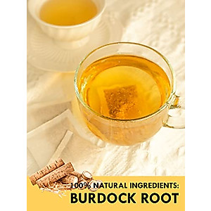 TeeLux Burdock Root Tea Bags, Pure Natural Burdock Root, Caffeine Free, Premium Herbal Tea, 50 Tea Bags