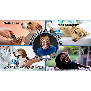 Hungry Dog Co.- Premium Inflatable Dog Collar for Dogs and Cats - Helps in Pet Recovery - Comfortable and Safe for Your Pet - Soft E-Collar – Grey, Medium (8”- 12” Neck)