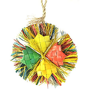 Planet Pleasures Happy Holly Toy, X-Large