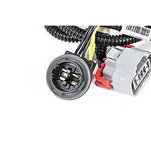 ACDelco GM Genuine Parts 25958494 Driver Side Tail Lamp Wiring Harness, Black