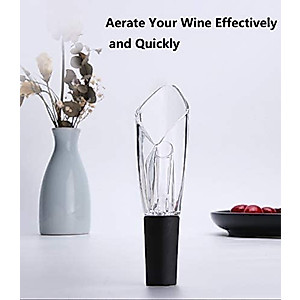 1 Pack Wine Aerator Pourer Spout Tulips Shaped Aerator Wine Pour Premium Wine Aerator Wine Bottle Aerator Pourer for Red and White Wine Lover Gift, Black