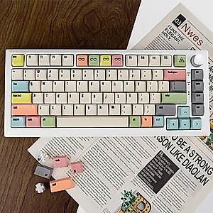 JOLINTAL 134 Keys Canvas Retro Beige Keycaps, PBT Custom Keycaps, Dye Sublimation Cherry MX XDA Profile Keycaps for Mechanical Keyboard