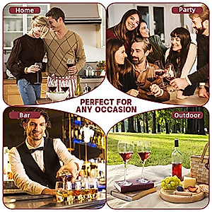 Wine Bottle Opener Set, 4 in 1 Air Pressure Pump Red Wine Opener Kit Manual Needle Cork Remover Set Including Wine Foil Cutter, Wine Pourer and Vacuum Stopper Perfect Wine Gifts Set for Wine Lovers