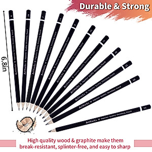 Artvorks 12 PCS Drawing Pencils – Professional Graphite Sketch Pencils (8B-2H) in a Robust Metal Case – Ideal for Drawing, Sketching, Shading for Artists & Beginners