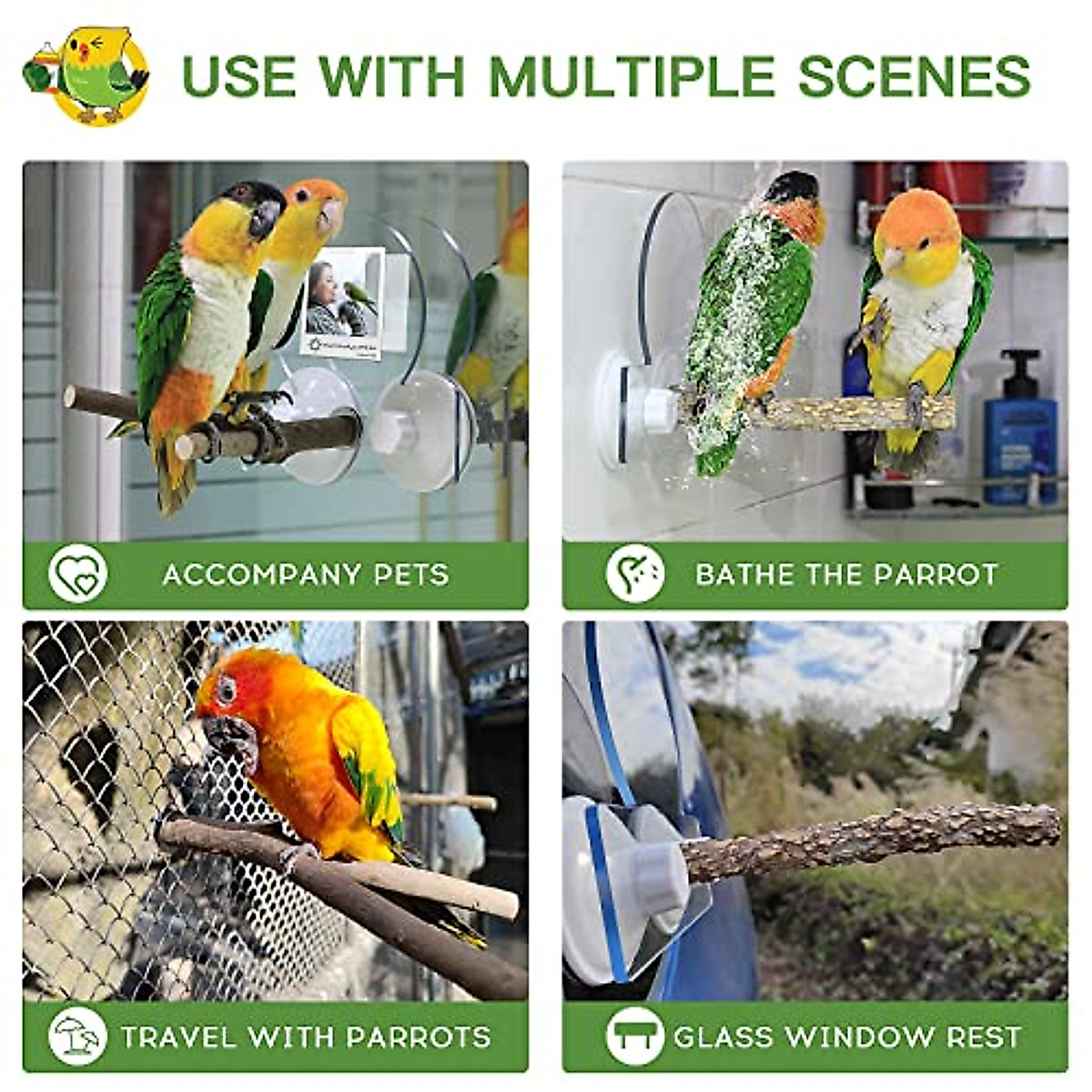 GJRGEG1Y Removable Window/Shower Perch Platform with Suction Cups for Bird Includes Stainless Steel Washer Robust and Stable Without Falling (Small)