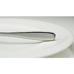 Fortessa Grand City 18/10 Stainless Steel Flatware Ice Cream Spoon, Set of 12