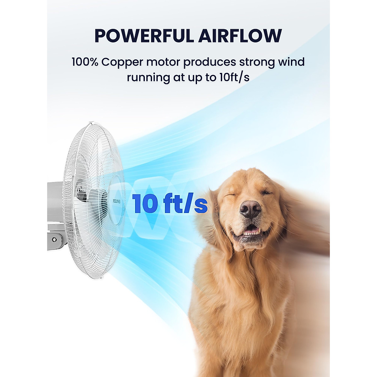 PELONIS 16‘’ Wall Mount Fan with 3 Speed Settings Oscillating Fan with Adjustable Tilt High Velocity Household Wall Mounted fan, for Garage Patios Bedroom 2 Packs White