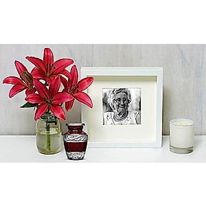 Trupoint Memorials Cremation Urns for Human Ashes - Decorative Urns, Urns for Human Ashes Female & Male, Urns for Ashes Adult Female, Funeral Urns - Red, 1 Small Keepsake