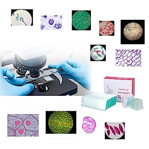 Pre-Cleaned Blank Microscope Slides Kit丨50PCS Ground Edge Glass Microscope Slides and 100PCS Square Cover Glass Slips Coverslips Set for Lab Science
