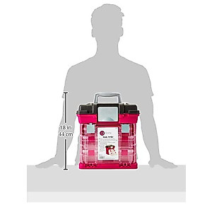 Creative Options 1363-85 Grab N' Go Rack System with Two No.2-3630 Deep Pro-Latch Organizers and One No.2-3650 Organizer, Magenta/Sparkle Gray,Medium