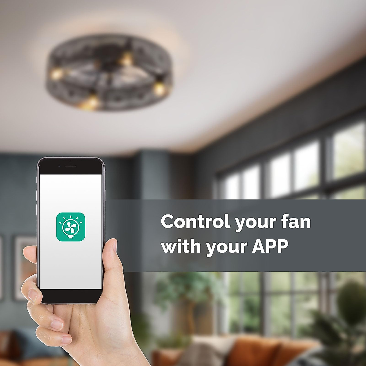 Orison 20 Inch Caged Ceiling Fan with Light, Black, 6 Speeds, Timer, Reversible Motor, Industrial Low Profile Ceiling Fan for Living Room, Bedroom, Kitchen