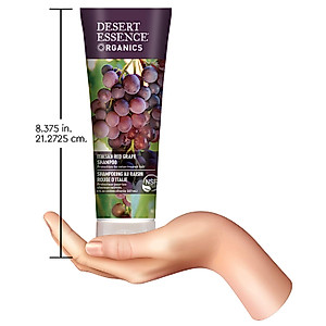 Desert Essence Italian Red Grape Shampoo UV Damage & Color Protection Cleanser Infused with Resveratrol, Organic Grape Seed & Maca Root - Vegan, Gluten-Free, Cruelty-Free - 8oz (Pack of 2)