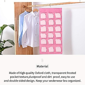 Hanging Closet Organizer, Dual-Sided 30 Pockets Wall Shelf Wardrobe Storage Bags for Underwear, Stocking, Bra and Sock, Mesh Pocket with Metal Hanger - Pink