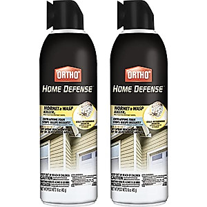 Ortho Home Defense Hornet & Wasp Killer with Entrapping Foam and Jet Spray, 16 oz. (2-Pack)