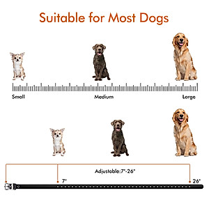 COVONO Wired Electric Dog Fence, Underground/Aboveground Pet Containment System (650Ft Wire, Waterproof & Rechargeable Collar, Shock/Tone Correction, Support 1 Dog)