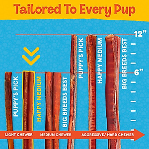 FETCHERONI Large Bully Sticks for Dogs - 100% Beef Tasty Natural Flavor - Fully Digestible Dog Chews - Long-Lasting chewing sticks - Bully Sticks Odor Free for Medium and Large Dogs (12 Inch, 10 Pack)