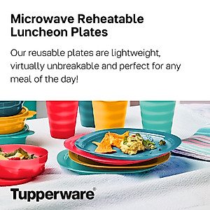 Tupperware Brand Microwave Reheatable Luncheon Plates - Dishwasher & Microwave Safe - BPA Free - Reusable, Lightweight, Durable & Great for Kids