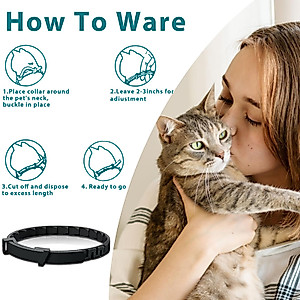 Calming Collar for Cats, 4 Pack Calming Cat Collars, Pheromone Collar for Cats, Cat Anti Anxiety Relief for 30 Days, Natural Scent Adjustable Appeasing Calm Kittens Kitty Collar for All Cats (Black)
