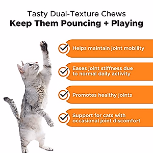 Pet Honesty Cat Hip & Joint Health Chews - Glucosamine for Cats, Cat Joint Support Supplement, Cat Health Supplies & Hip Support, Cat Vitamins for Indoor Cats & Outdoor Cats - Chicken (30-Day Supply)